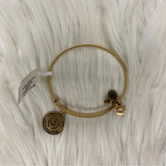 Alex and Ani | Jewelry | Alex And Ani Kentucky Derby Rafaelian Gold Charm Bangle Bracelet | Poshmark